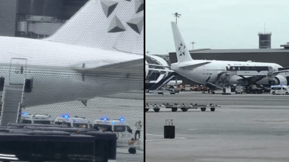 British man, 73, confirmed as passenger who died onboard plane that hit ...