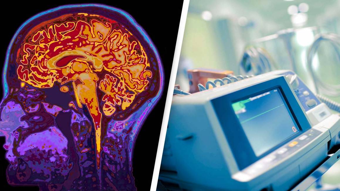 Ground Breaking Study Suggests What Happens In Brain In Final Moments ground-breaking-study-suggests-what-happens-in-brain-in-final-moments